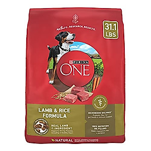 Purina ONE Dry Dog Food Lamb and Rice Formula - 31.1 Lb. Bag
