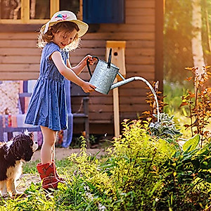 Garutom Galvanized Watering Can for Outdoor Plants, 1 Gallon Decorative Countryside Style Watering Can with Removable Spout, Perfect Metal Watering Can for Indoor Plants and Garden Flower