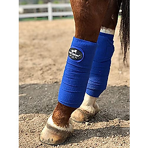 TGW RIDING Horse Polo Leg Wraps, 4-Pack (Royal Blue)(4.73inchesX118inches)