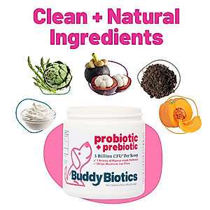 Buddy Biotics Probiotic + Prebiotic for Dogs- Gut Flora Health, Digestive and Immune Health, Diarrhea and Bowel Support – 5 Billion CFU per Scoop