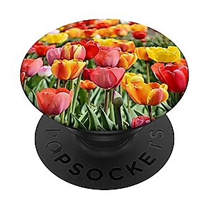Tulip Flowers PopSockets PopGrip: Swappable Grip for Phones & Tablets