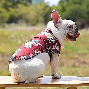 Pet Summer T Shirts Hawaii Style Floral Dog Shirt Hawaiian Printed Pet T Shirts Breathable Cool Clothes Beach Seaside Puppy Shirt Sweatshirt for Small Puppy Dog Close for Girls (Red, XS)