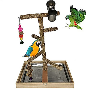 Tfwadmx Bird Perch Natural Wood Stand Toy Parrot Play Stand Platform Bird Cage Branch Perch Accessories for Parakeets Canaries Cockatiels Conure Lovebirds
