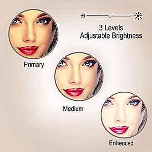 TOP4EVER Flexible 10X Magnifying Suction Mirror, Dimmable LED Lighted Vanity Mirror,Power Locking Suction Cup with Day Light and 360 Degree Swivel, Portable Vanity Mirror for Home Bathroom