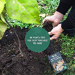 WH Woodhot Quick Ignite Natural Yeti Fire Starter Pack of 12 with 12 Minutes Burning Time for Fireplace Campfires Grill Charcoal BBQ Pizza Oven