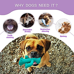 Medlladle Dog Chew Toys Cactus for Aggressive Chewers Small Breed, Indestructible Tough Dog Toys for Puppies Teeth Cleaning, Pet Toy with Durable Natural Rubber