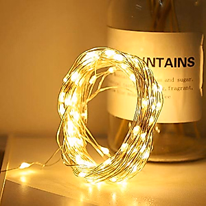 Vensans 50 LED Fairy String Light, LED String Light for Bedroom Lawn Landscape Garden Home Christmas Holiday Decor (Warm White)