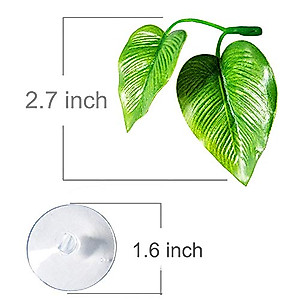 CousDUoBe 2 Pack Betta Fish Leaf Pad Improves Betta's Health by Simulating The Natural Habitat - Natural, Organic, Comfortable Rest Area for Fish Aquarium