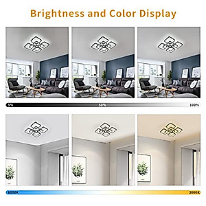 Siittoo Modern Ceiling Light Fixture, Dimmable LED Flush Mount Ceiling Chandelier Lighting with Remote, 8-Rectangle Acrylic Ceiling Lamp Fixture for Living Dining Room Bedroom (96W,Black,White)