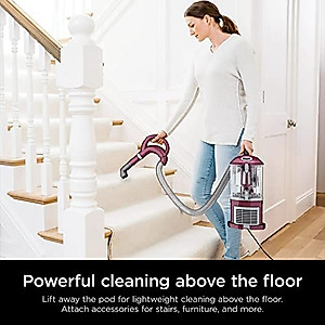 Shark CU520 Navigator Lift-Away XL Upright Vacuum Multi Surface Floor Cleaner with Crevice Tool, Purple