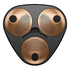 Sony SRS-RA5000 360 Reality Audio Premium Wi-Fi / Bluetooth Wireless Speaker, Works with Alexa and Google Assistant, Black