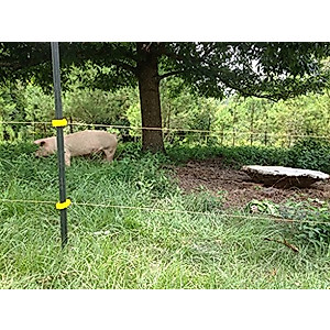 Farmily Portable Electric Fence Polywire, 656 Feet 200 Meter, 6 Conductors, Yellow and Black Color, Easy to Install Repair Splice and Rewind