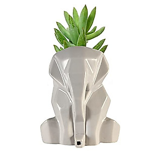 LUMI Small Succulent Pot with Drainage (6.3 Inches) - Cute Ceramic Pots for Flowers, Bosnai and Cactus -Planter for Indoor Plants - Nice Home Decor Idea