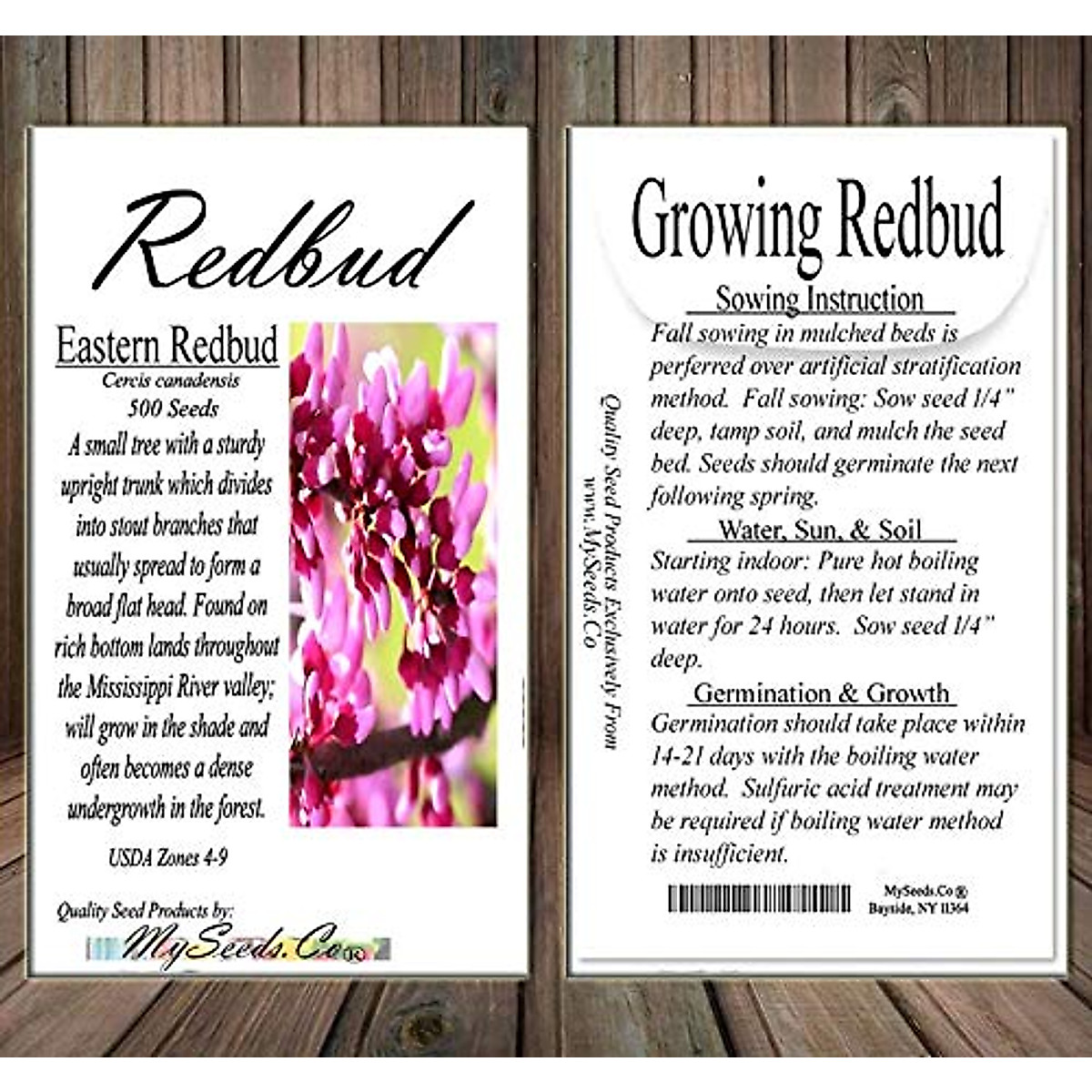 Big Pack - (500) Eastern Redbud Tree Seeds - Cercis Canadensis - Gorgeous Purplish-Pink Blossoms - Very Cold Hardy Zones 4-9 - Big Pack Seeds by MySeeds.Co (Big Pack - Eastern Redbud)