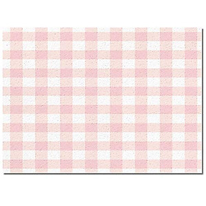 Aomike Indoor Area Rug Doormat- Cute Chic Pink Preppy Buffalo Check Plaid Contemporary Rug for Living Room/Bedroom/Front Porch/Hallway/Farmhouse, 2'x3'