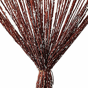 2 Pcs Door String Curtain Doorway Beads Curtains,Hanging Room Divider Beaded Decor Hippie Glitter Fringe Panel Closet Window Wall Backdrop Doors Sequin Sheer Boho Doors Tassel (2, Coffee, 39×79in)