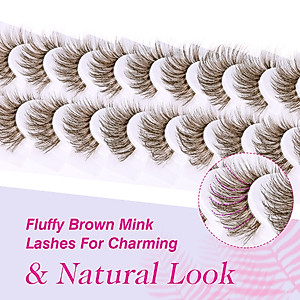 Brown Lashes Fluffy Wispy Colored False Eyelashes Natural Look D Curl Mink Eyelashes with Clear bands 10 Pairs Pack by Pleell