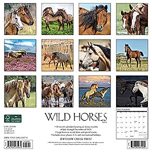 Willow Creek Press Wild Horses Monthly 2024 Wall Calendar (12" x 12")