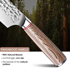 Huusk Japan Knife 8-inch Chef Knife Professional Hand Forged Kitchen Knife High Carbon Steel Sharp Japanese Gyutou Chef Knives for Meat Vegetables - Wood Handle with Gift Box
