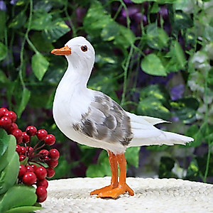 Baoblaze 2Pcs Realistic Seagull Bird Home Garden Decoration Artificial Feathered