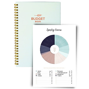 Budget Planner and Monthly Bill Organizer - Financial Planner –12-Month Budget Organizer, Budget Book Planner - Income and Debt Tracker Planner, Business Expense Tracker Notebook and Bill Planner