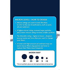 EcoPure EPW2B Whole House Replacement Filter, 2 Count (Pack of 1), White