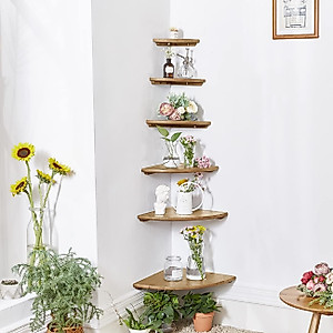 Corner Shelves, Floating Corner Shelf, Set of 2 7inch Solid Oak Wood Corner Wall Shelves, Round End Wall Mount Display Shelf with Wire Hole Shelving for Small Plant for Bedroom Kitchen, Living Room