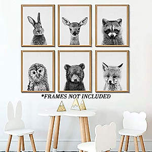 EPHANY Black and White Wall Art, Baby Animal Posters and Prints, Safari Bunny Prints, Nursery Bear Wall Art, Owl Print Wall Art Nordic Picture Kids Room Decoration (YMX017,8"x10"(20x25cm))
