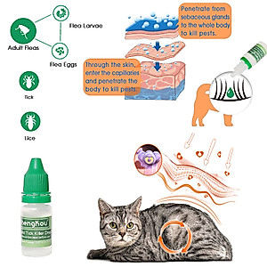 Protect Your Feline: Effective Flea and Tick Treatment for Cats, Natural Formula, 2-25 lbs, (9 Month Supply)