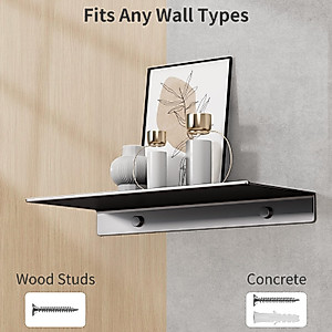 Danpoo Small Floating Shelf for Wall Storage, Mini Display Shelf for Collectibles, Metal Wall Shelf for Bathroom/Living Room/Kitchen/Bedroom(Black, 8")