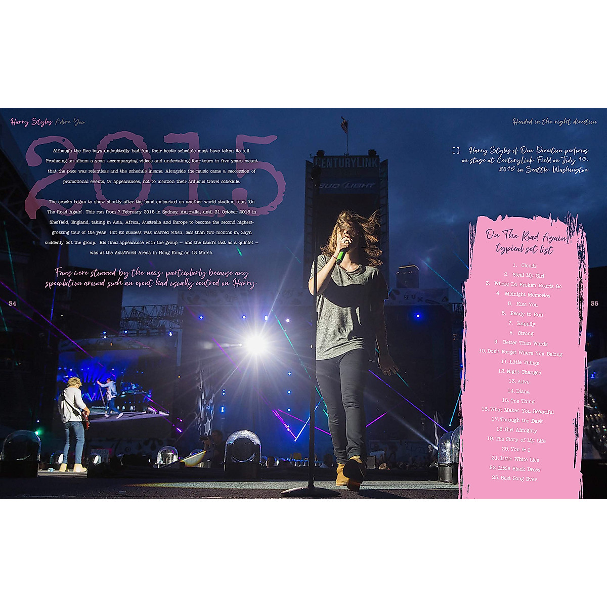 Harry Styles: Adore You: The Illustrated Biography
