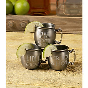 Pavilion Gift Company 2 Oz Silver Stainless Steel Moscow Mule Shot Glass Liquid Courage