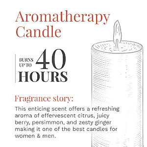 Candle-lite Scented Sunlit Mandarin Berry Fragrance, One 10oz. 3-Wick Aromatherapy Candle with 20-40 Hours of Burn Time, Orange Color, 10 oz