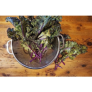 RSVP International International Endurance Stainless Steel Precision Pierced Colander, 5-Quart (Punch-5)