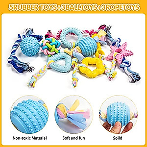 Squeaky Dog Toys for Puppy Small Dogs 18 Units Stuffed Toys with Rubber Toys in Bulk Plush Dog Toy Safe Fetch Chew Toys Pack for Chewing and Teething