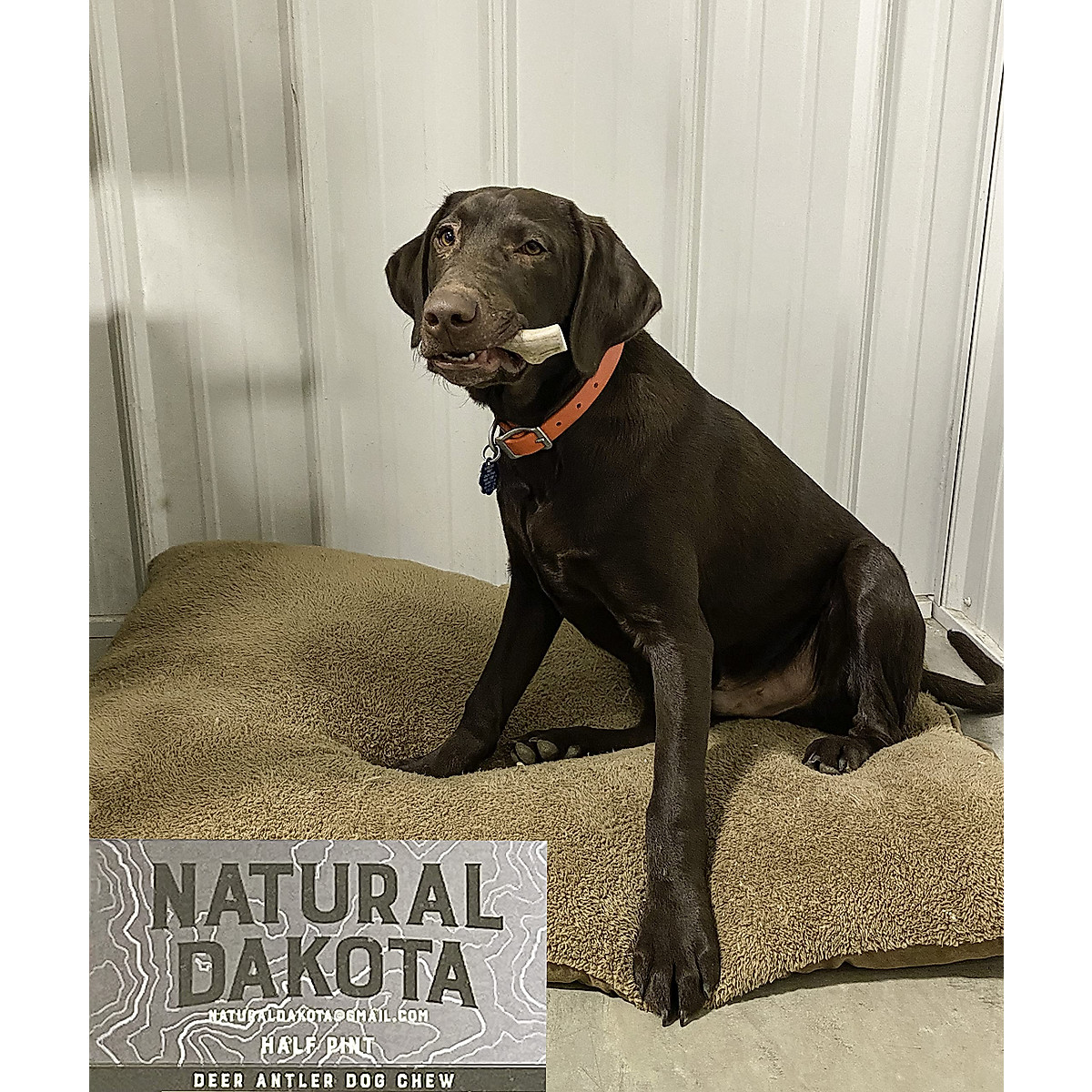 Natural Dakota Premium Deer Antler Dog Chew Toys (Small) Half-Pint