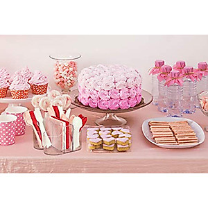 Tiger Chef 5 Compartment Clear Utensil Caddy. Organizer for Silverware Napkins Cups Tabletop Condiment for Dining Table Party Buffet Entertaining Picnics BBQ