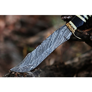 12.5 Inch long Hunting knife, Collectible knife, Scale is made of Camel bone and dollar wood, embellished with Engraved brass finger guard and pommel, Hand forged Twist pattern Damascus steel blade, Comes with Leather sheath