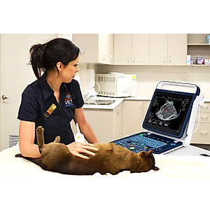 BPU60V Hand-Carried 15" Color Doppler Ultrasound System equine, large animal, small animal, zoo mammal, and marine mammal medicine body scans Abdomen, Reproduction, Gynecology, Cardiology, Small Parts