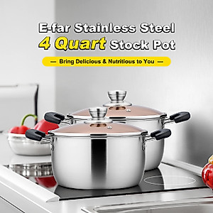 E-far 4 Quart Stock Pot, Stainless Steel Metal Soup Pot with Glass Lid for Cooking, Healthy & Rust Free, Heavy Duty & Dishwasher Safe