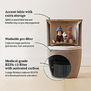Dupray Bloom™ Air Purifier for Large Rooms with Planter or Custom Accent Table Design | For Home, Bedroom, Office, Dust, Pets | H13 HEPA Air Filtration (Accent Table - Walnut, Cloudy Gray)