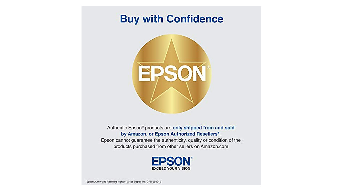 Epson UltraChrome PRO10 Light Magenta Ink for Professional Prints