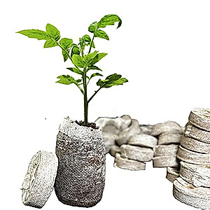 35mm Peat Pellets Seed Starting Plugs Seeds Starter Pallet 100 Pack Seedling Soil Block for Garden Seedling Planting