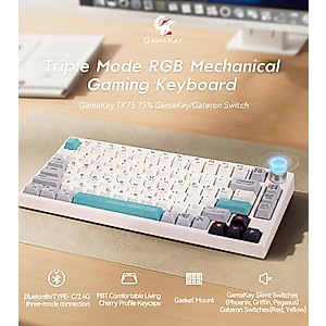 GK GAMAKAY TK75 75% Mechanical Keyboard with Knob Control, Hot Swap RGB Bluetooth 5.0/2.4GHz Wireless/USB-C Wired PBT Cherry Profile Keycaps Gaming Keyboard for Windows Mac (Gateron Red Switch)