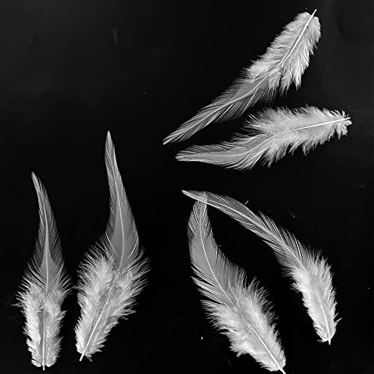 Happy Feather 100PCS Saddle Hackle Rooster Feather for Crafts, 5-7 inch Natural Pheasant Neck Feathers DIY Pendant Earrings Dream Catcher-White