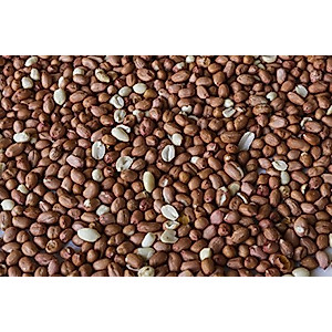 Wakefield Virginia Peanuts Bulk 45LB Bag Shelled Animal Peanuts for Squirrels, Birds, Deer, Pigs and a Wide Variety of Wildlife, Raw Peanuts/Bulk Nuts/Blue Jays/Cardinals/Woodpeckers