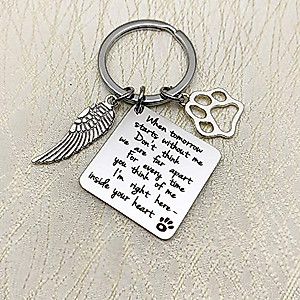 ShiQiao Spl Pet Bereavement Memorial Remembrance Gift - When Tomorrow Starts Without Me Paw Prints Keychain Dog Cat Loss Gifts for Pet Owner Sympathy Gifts