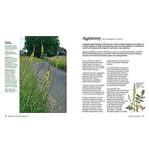 The Big Book of Backyard Medicine: The Ultimate Guide to Home-Grown Herbal Remedies