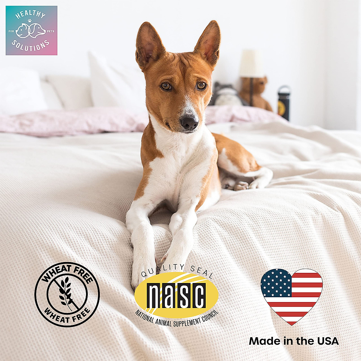 Cranberry Chews for Cats - UTI, Bladder, Kidney, & Urinary Tract Support - Cat Health Supplements Contain Cranberry Extract, Echinacea, Vitamin C, and Astragalus Root - 60 Soft Treats