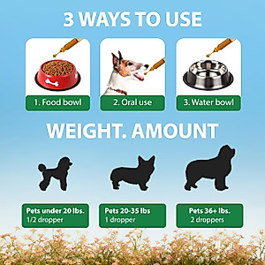 Kennel Cough Drops for Dogs & Cats - Allergy Relief - Cough Relief Dry and Wet Pet Cough - for Dogs of All Breeds & Sizes